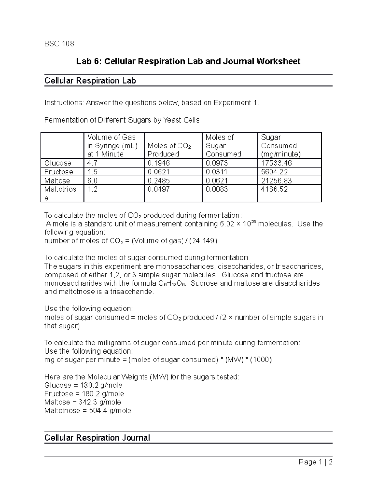 Lab 6 Report: Cellular Respiration in BSC 108 - Studocu