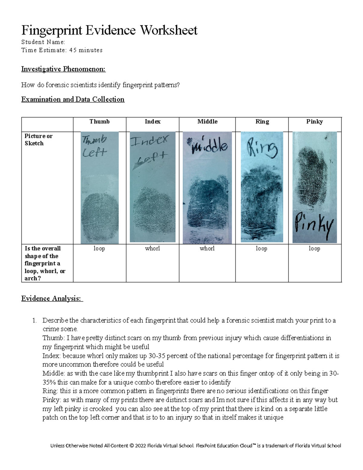 Fingerprint Evidence Worksheet 1: Analysis and Identification ...