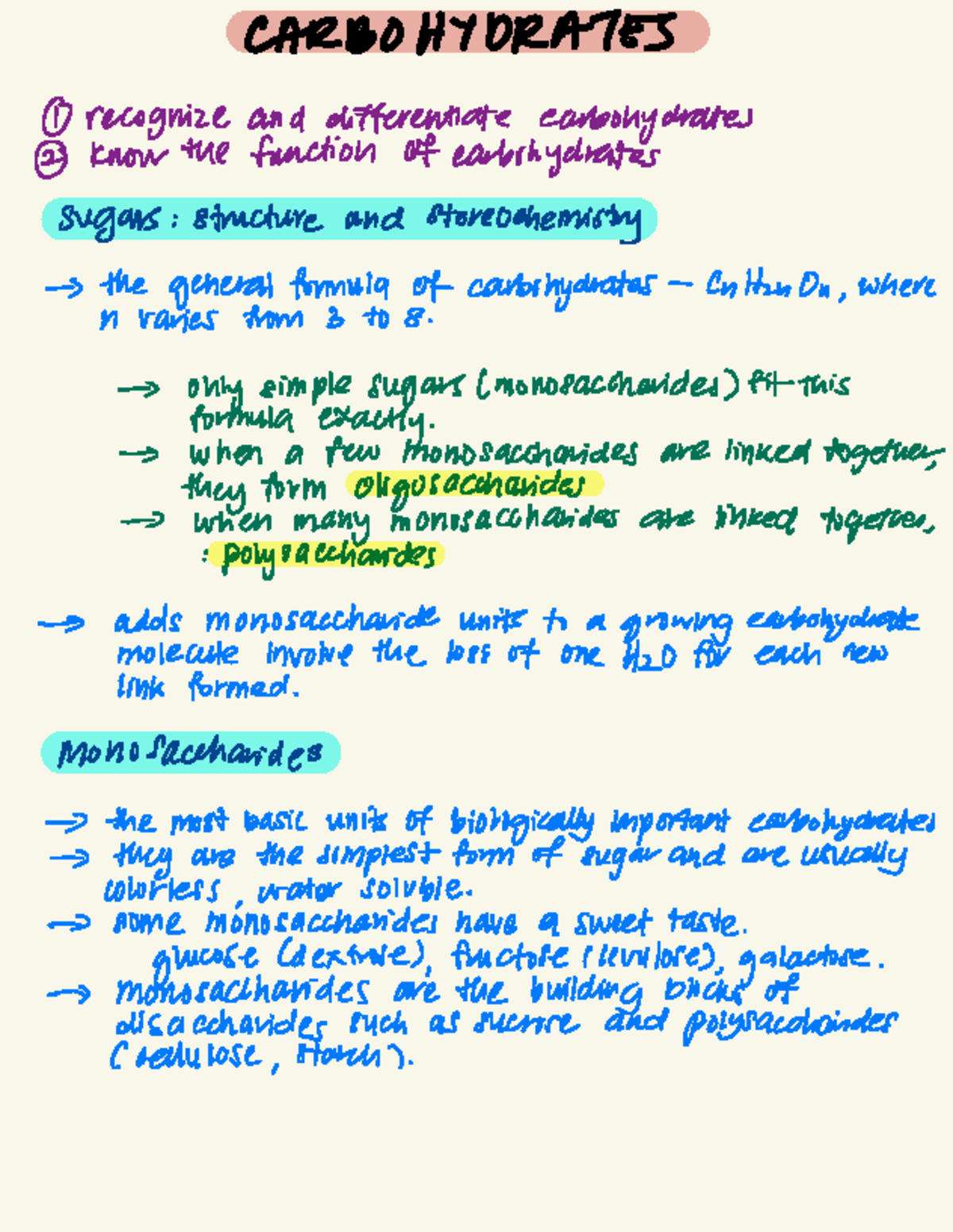 BIO462 Carbohydrates: Structure, Function, and Types Notes - Studocu