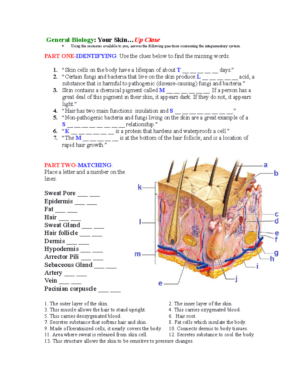 General Biology: Integumentary System Review & Key Concepts - Studocu