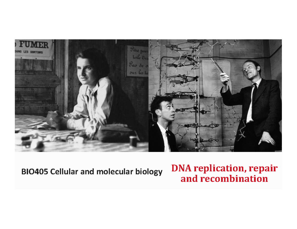 Understanding DNA Replication, Repair & Recombination in BIO405 - Studocu