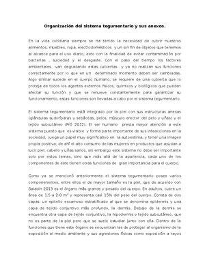 Radi o y ulna (cúbito) Anatomía y funciones Kenhub - Radio y ulna ...