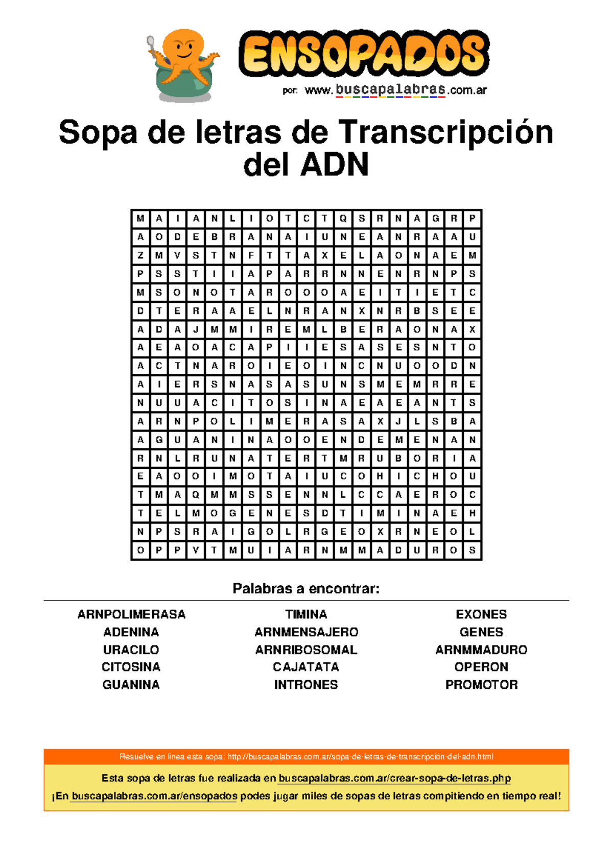 Sopa de letras de transcripción del adn - Sopa de letras de ...