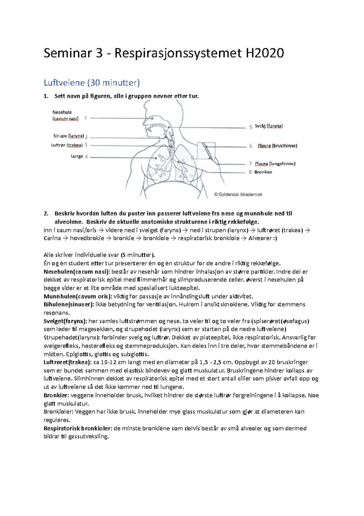 Seminar 3 - B6, gruppe 1 - Undervisningsarbeid fra respirasjonssystemet ...