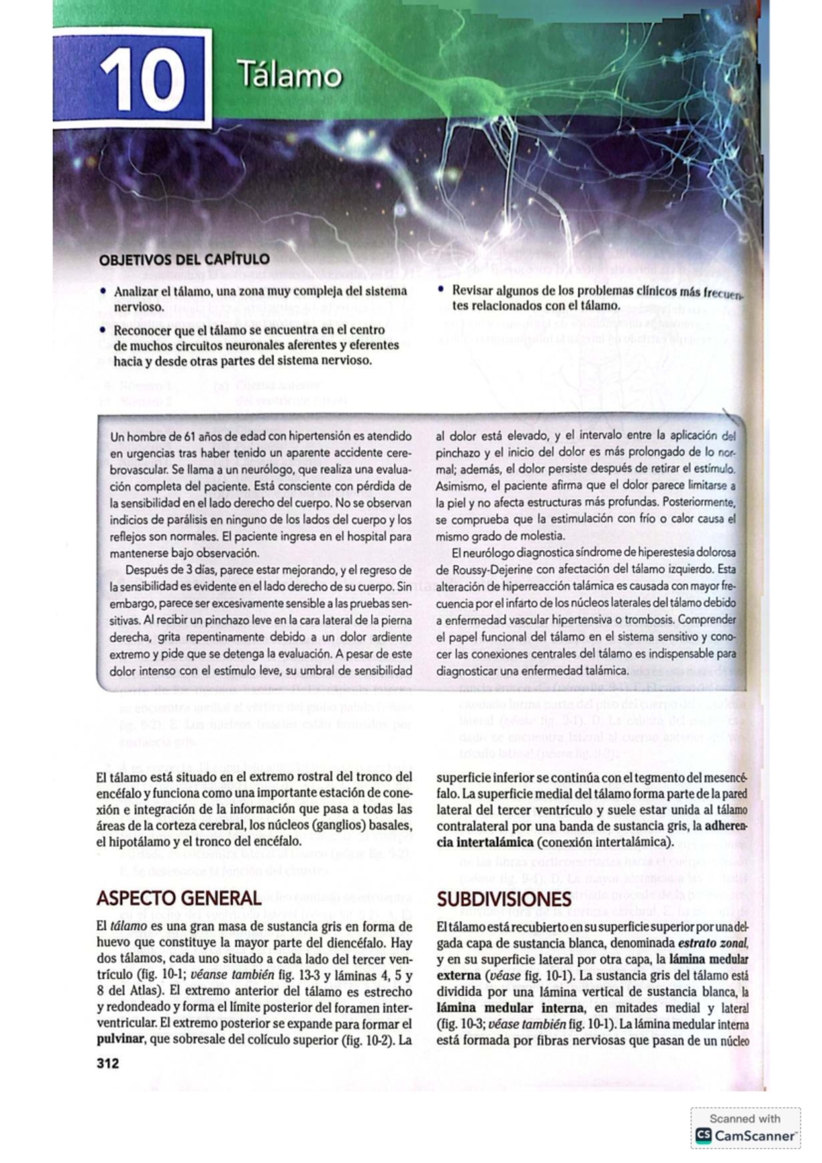 Tálamo y Sistema Nervioso Autónomo: Análisis y Funciones (SNA) - Studocu