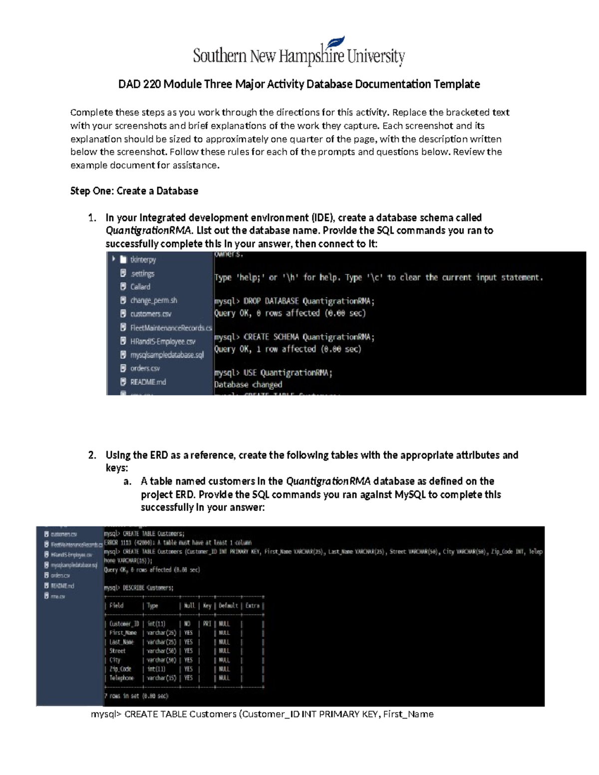 DAD 220 Module Three Major Activity Database Documentation Template - Replace the bracketed text ...
