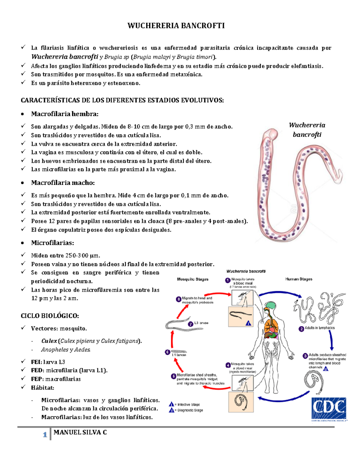 9. Estudio de Wuchereria Bancrofti: Filariasis Linfática y Tratamiento ...