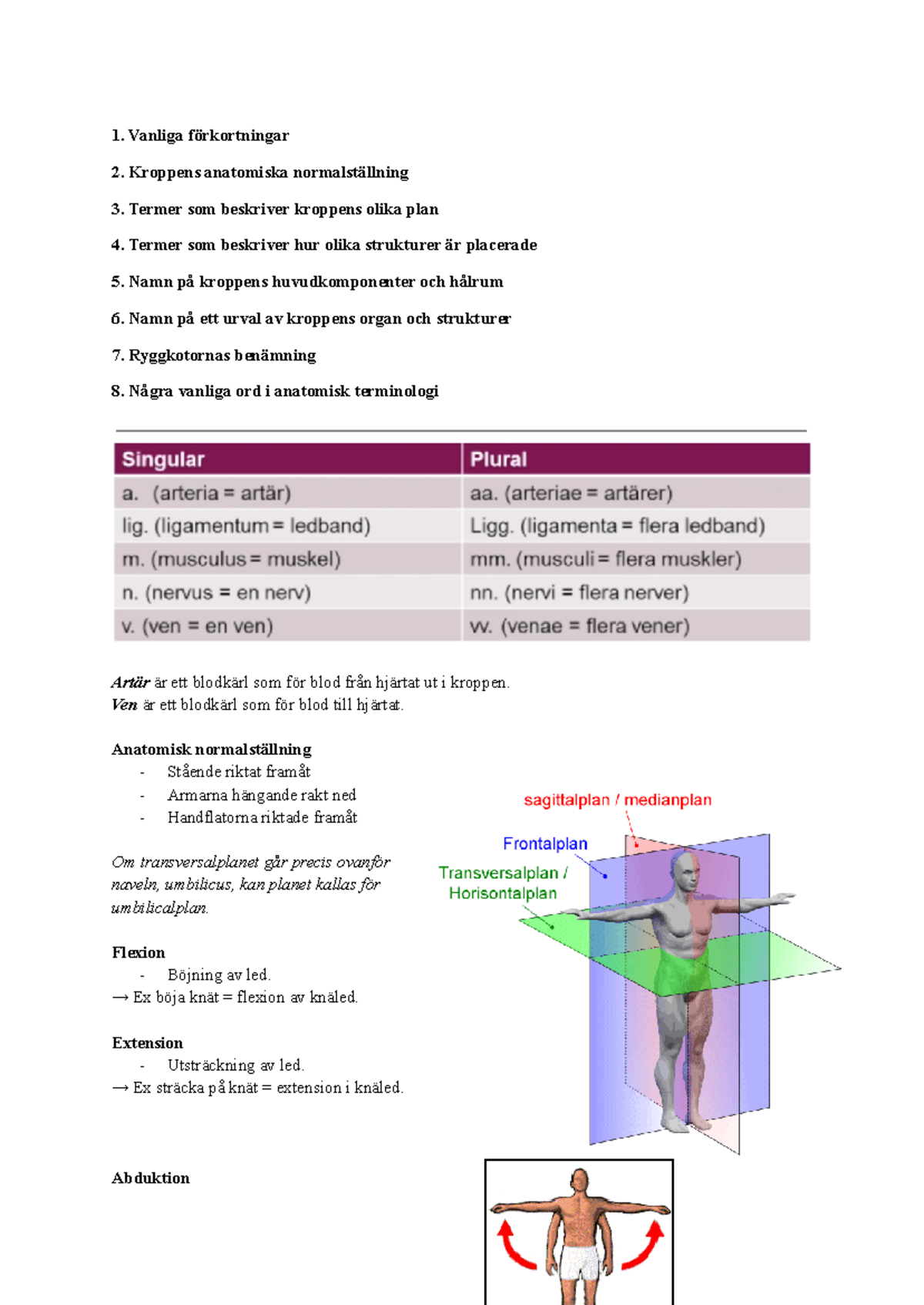 Anatomisk terminologi: Grunder och begrepp för studier - Studocu