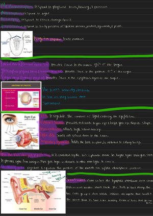 1a Anatomy of the Visual System - Accessory structures Product Lacrimal ...