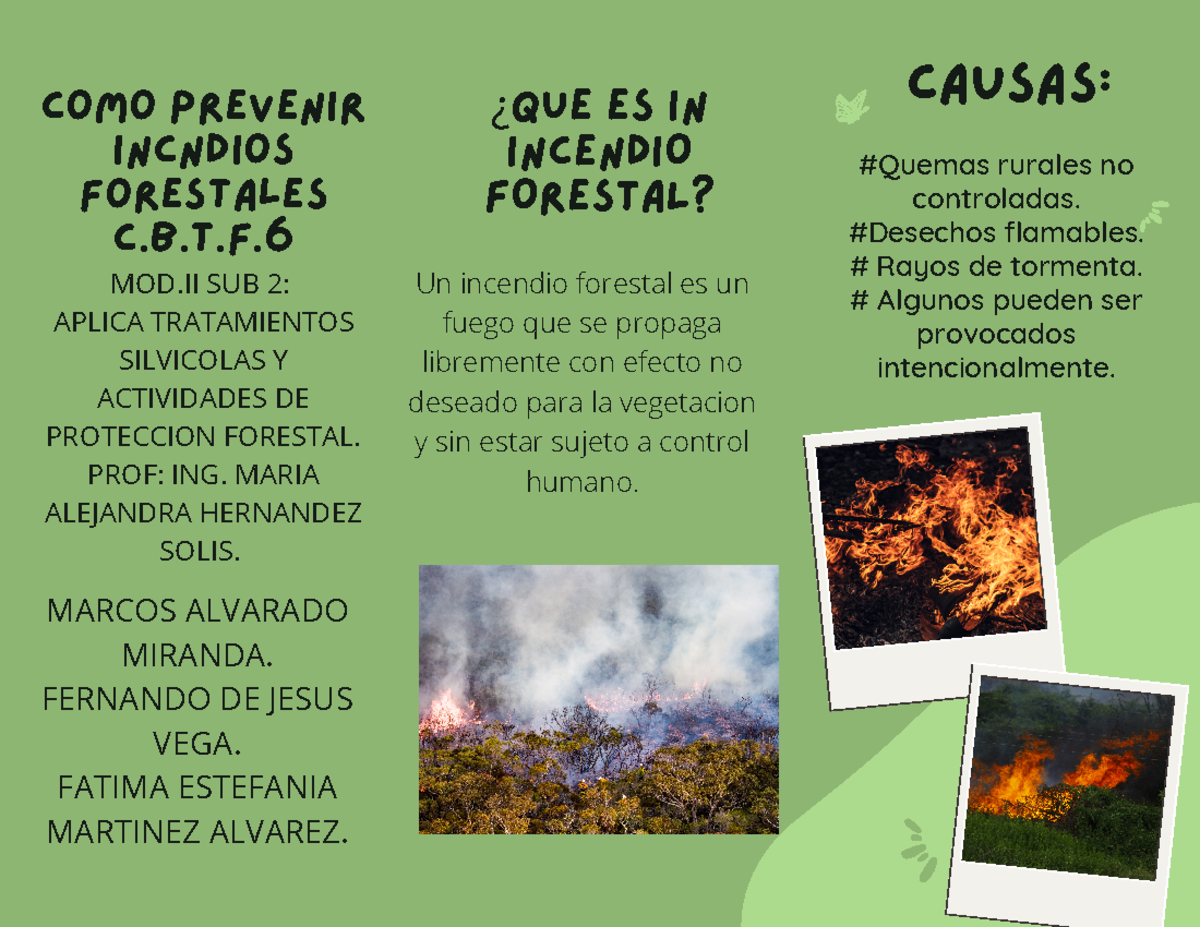 Incendios - causas: ¿QUE ES IN INCENDIO FORESTAL? #Quemas rurales no ...