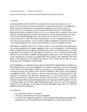 biology grade 10 past papers - NAMIBIA SENIOR SECONDARY CERTIFICATE ...