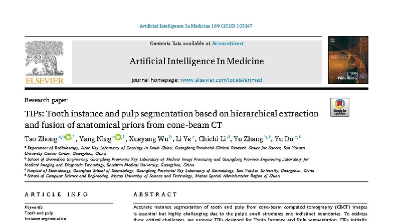 TIPs: Tooth Instance and Pulp Segmentation via Hierarchical Fusion from ...