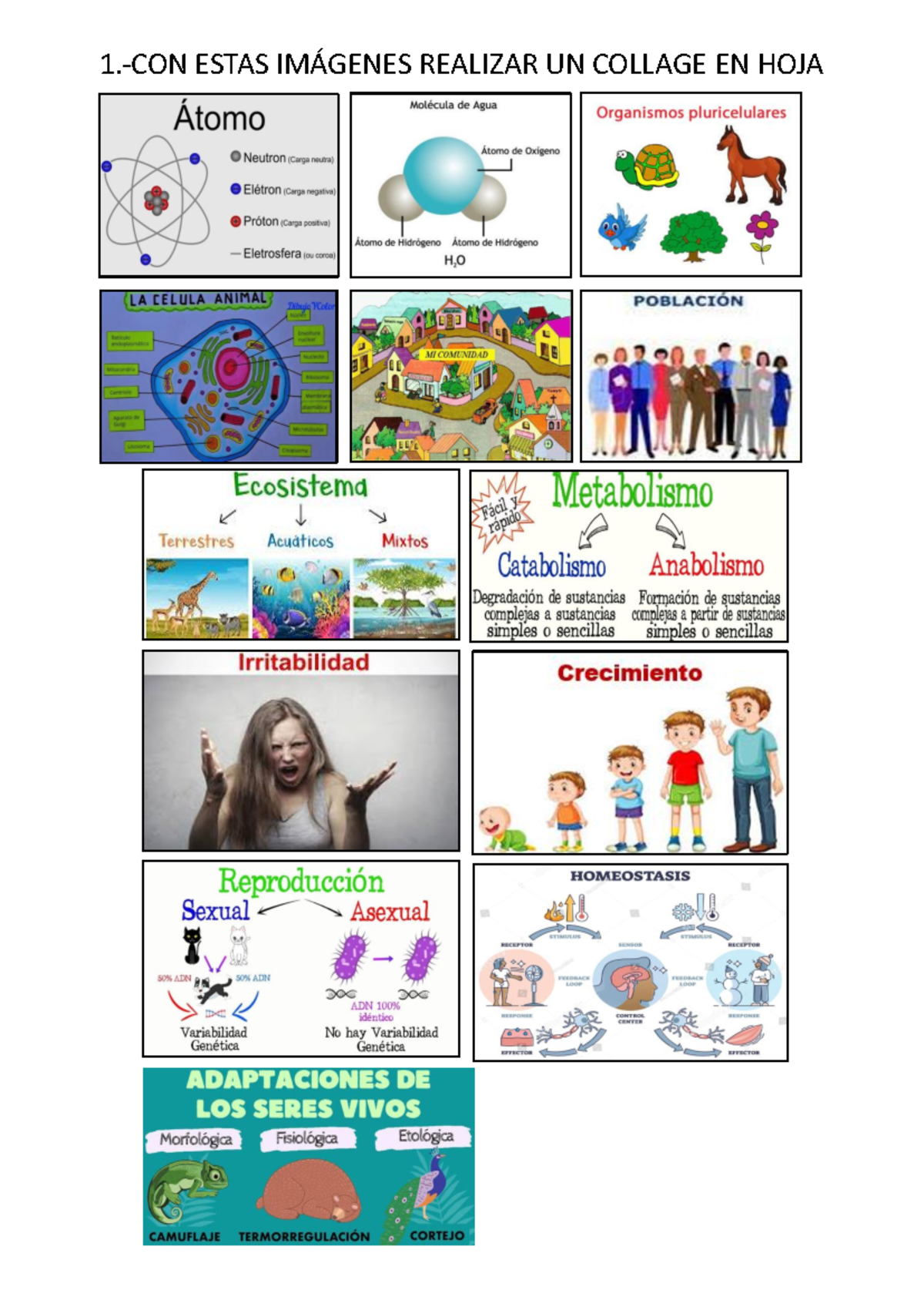 Gráficos PARA Octavo B Y Octavo D 2025-2026 - educación inicial - 1 ...