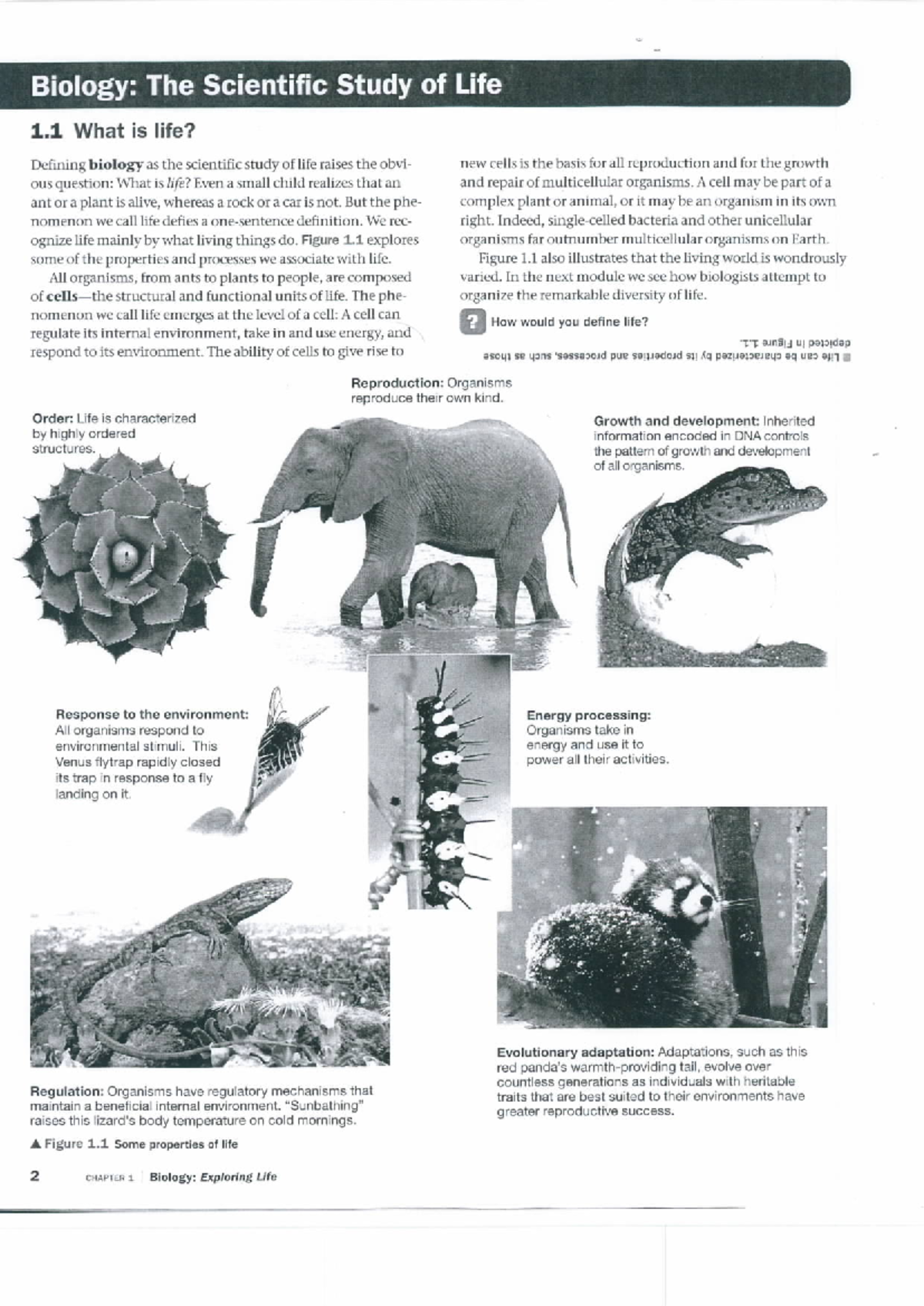 Biology: The Scientific Study of Life - Chapter 1 Overview and Key ...