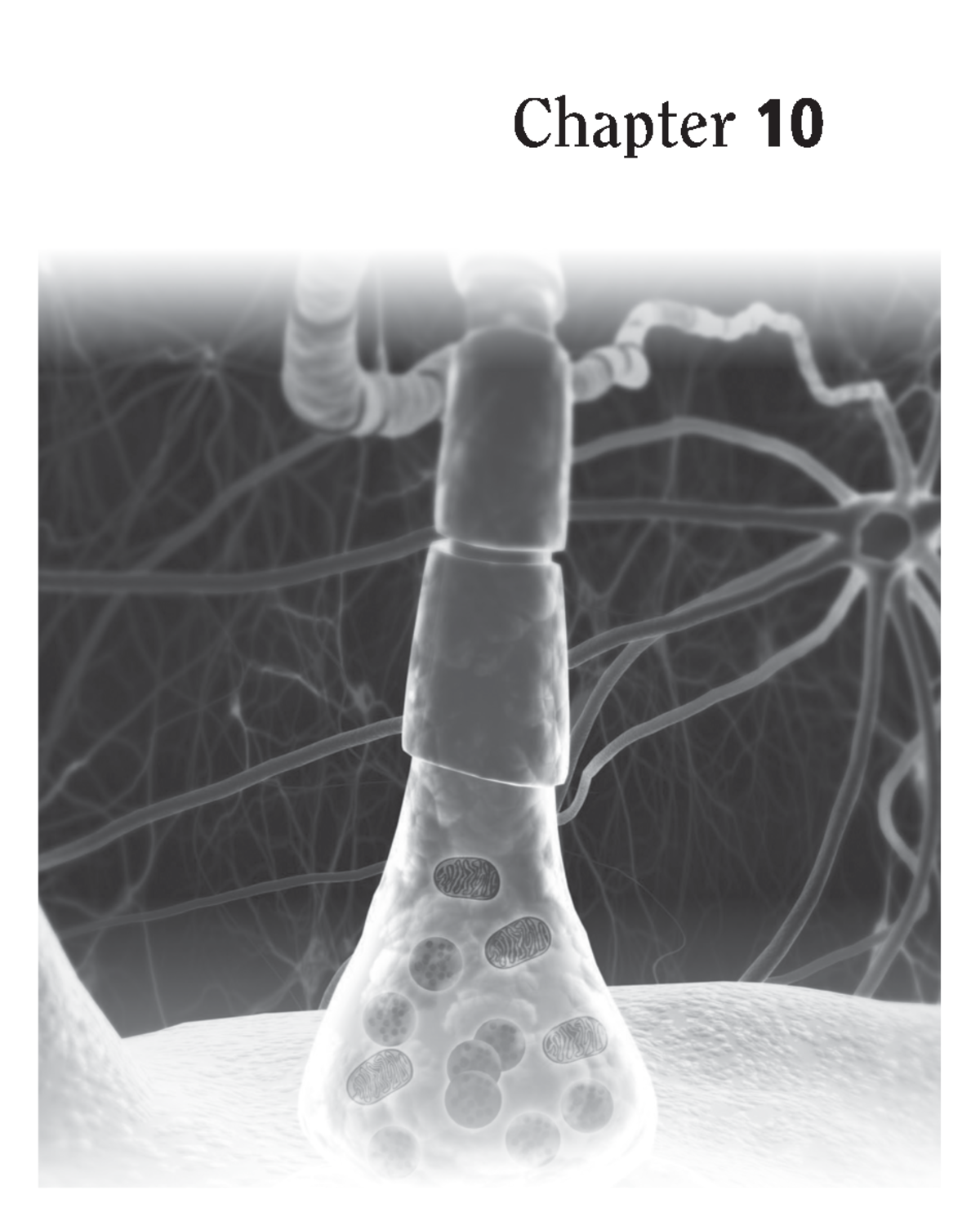 Ch 10 Worksheets - Language of Medicine Chapter 10 Activities - Studocu