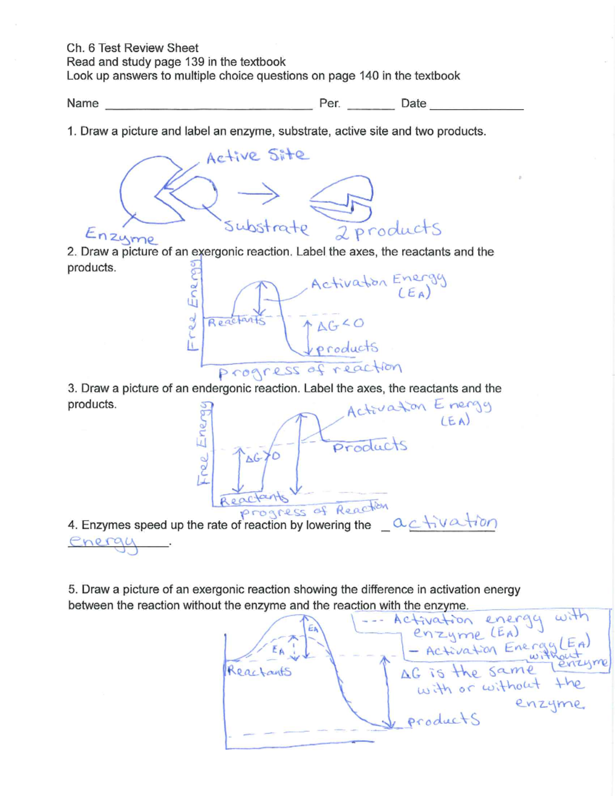 Ch. 6 Test Review Sheet: Key Concepts in Enzymes & Reactions - Studocu