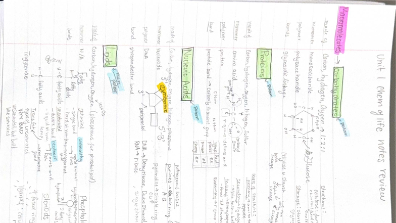 Unit 1 AP Biology: Chemistry of Life Review Notes - Studocu