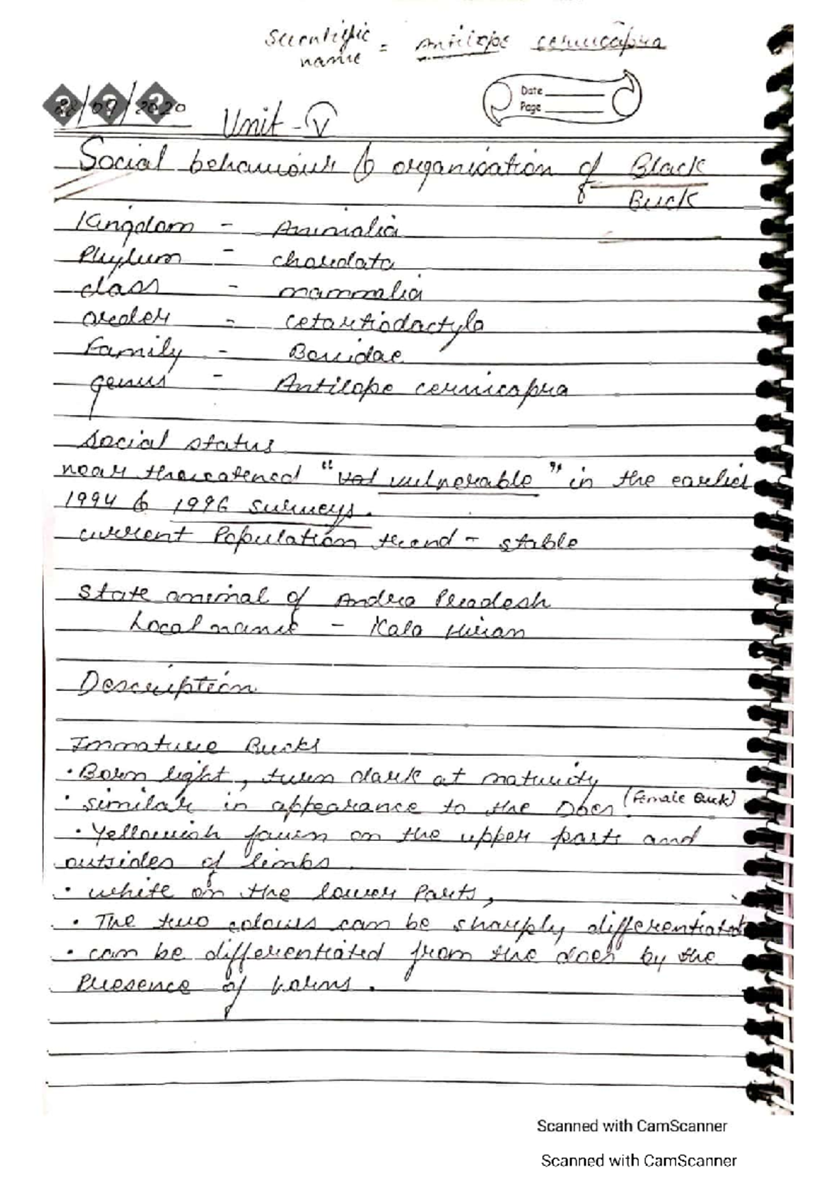 Ethology Unit 5 Notes: Social Behavior in Animals and Primates - Studocu