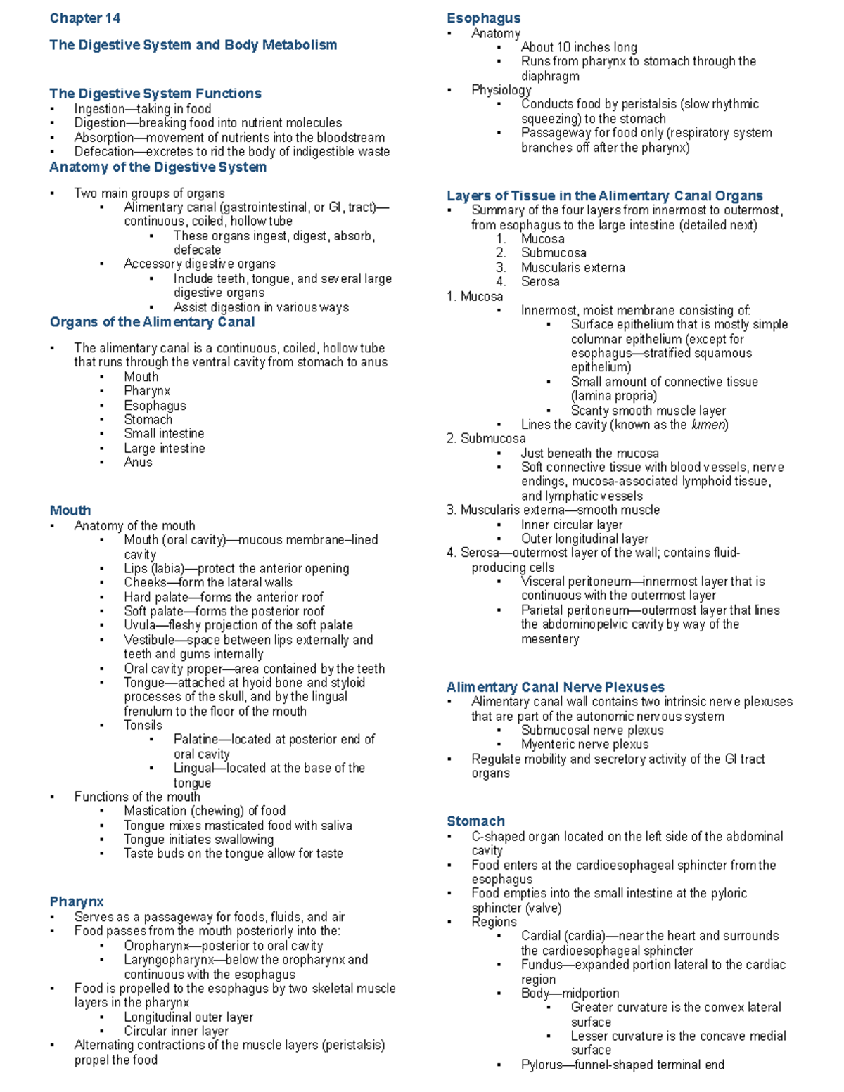 CHAP14 Digestive System: Functions, Anatomy, and Nutritional Insights ...