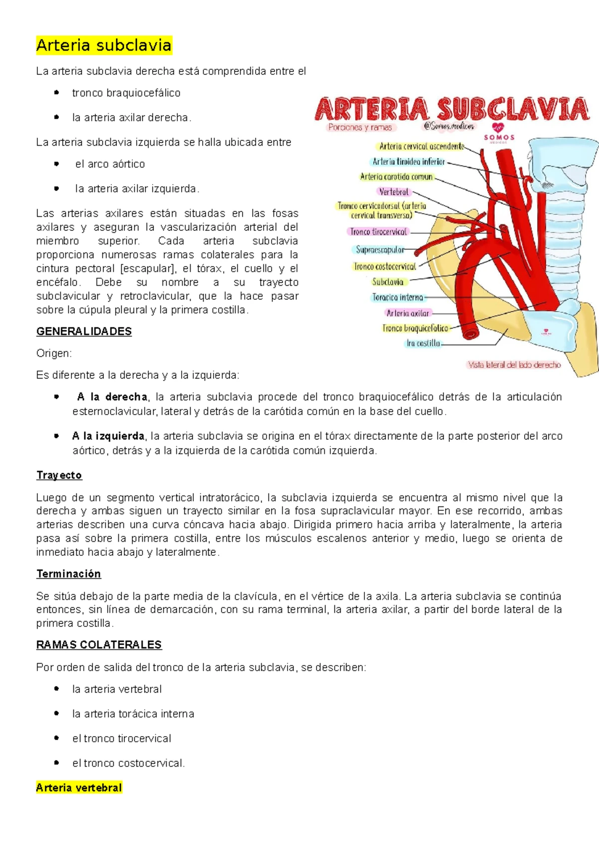 FOSA PTERIGOMAXILAR: Resumen de Anatomía Humana (FOSA, 11a ed.) - Studocu