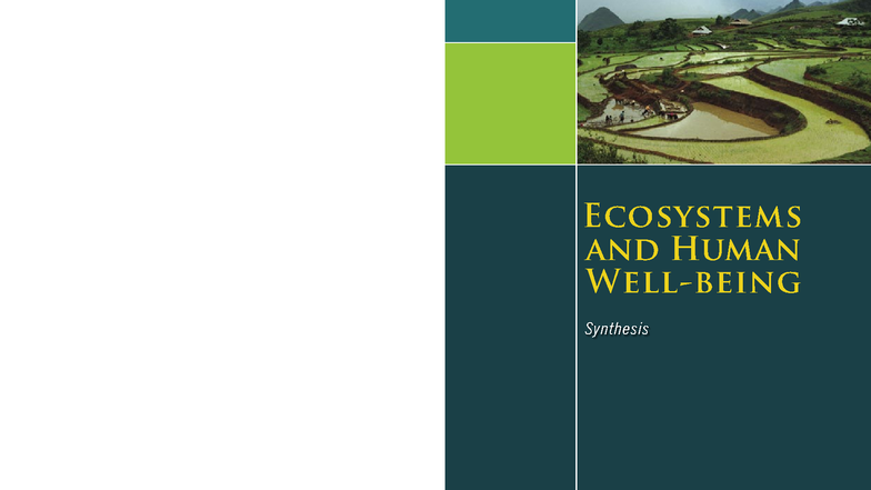 Millennium Ecosystem Assessment (MEA) 2005: Ecosystem Services Overview ...