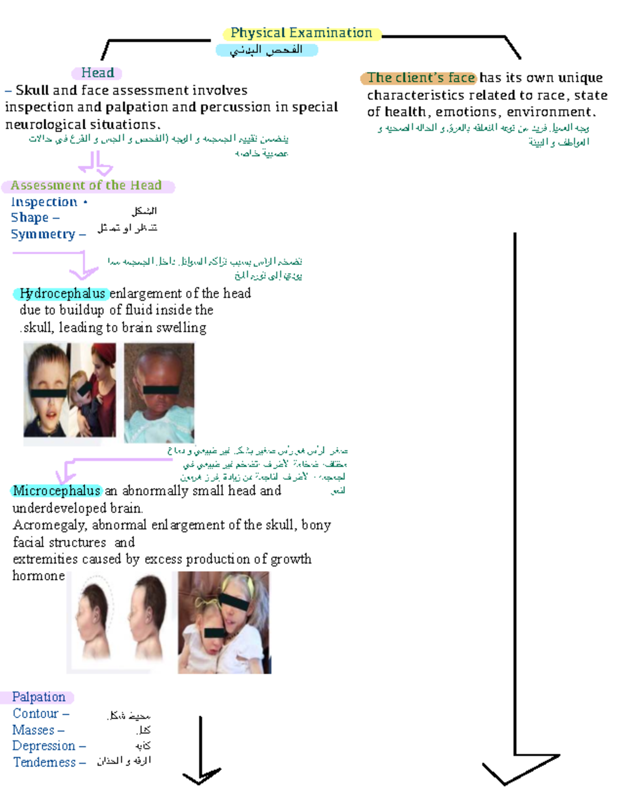 Health Assessment: Physical Examination of Head & Face (Nursing Studies ...