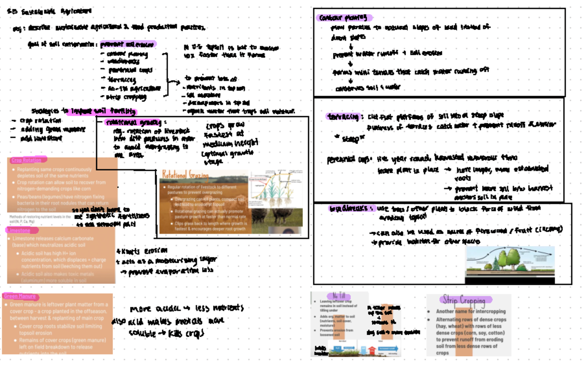 APES 5 - Sustainable Agriculture & Food Production Practices Notes ...