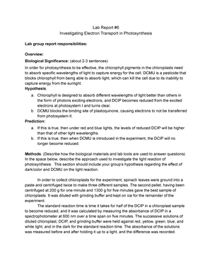 BIO161 Lab Report #11 - Lab Report Gene Action: Synthesis of in coli ...