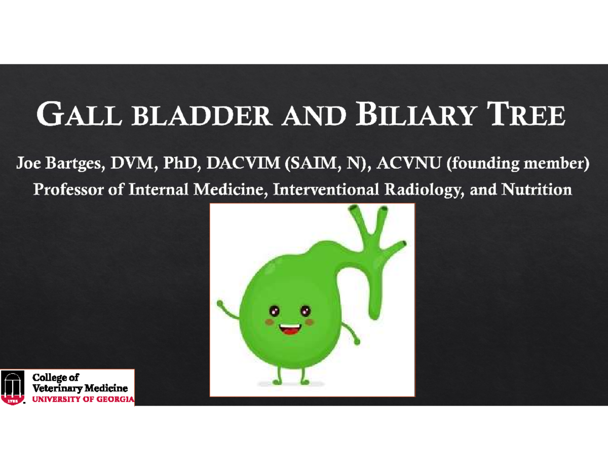 Long-term Survival of Dogs with Gallbladder Issues (Vet Med 2019 ...