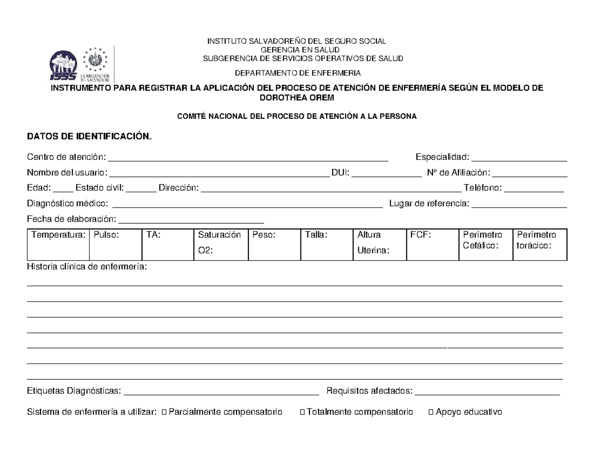 Instrumento PAE Dorothea OREM ltima Revisi n Nov 2022 Studocu