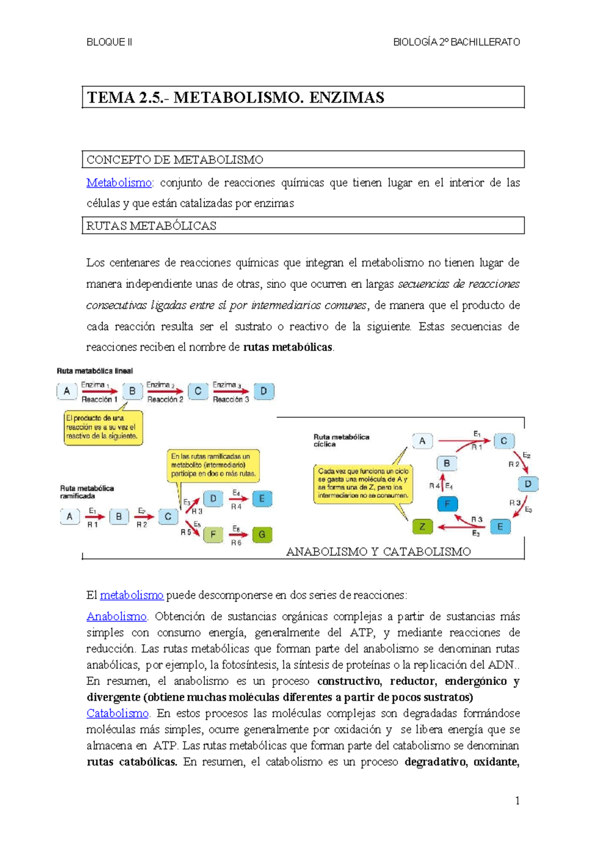 TEMA 2.5. Metabolismo y Enzimas en Procesos Bioquímicos - Studocu