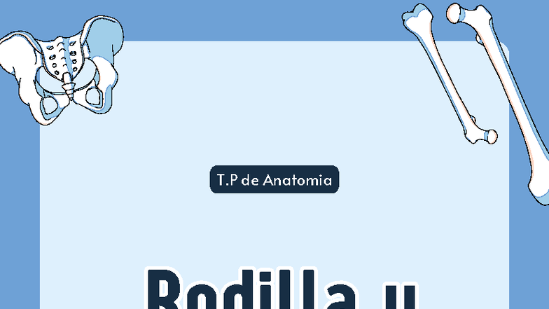 Anatomía de la Rodilla y Pierna: Proyecto Fisioterapia A4 - Studocu