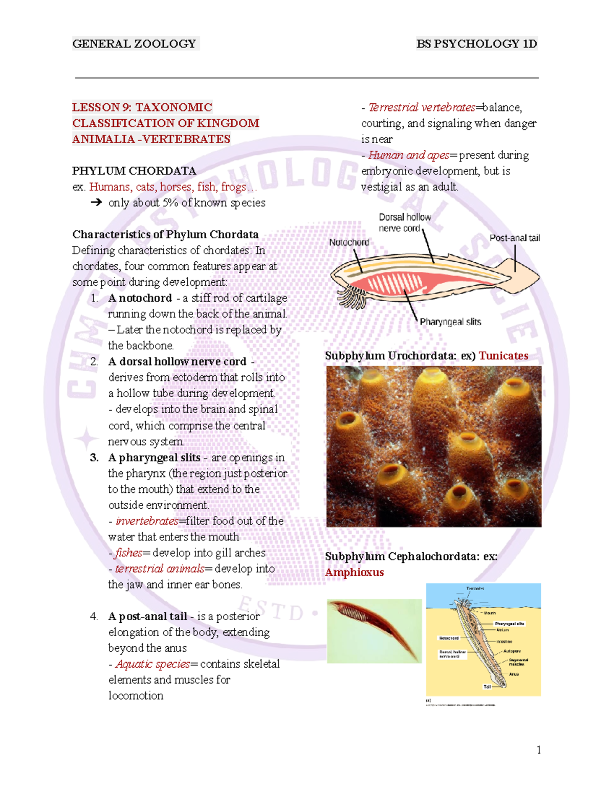 Animal Biology - Lesson 9: Taxonomic Classification of Chordates - Studocu