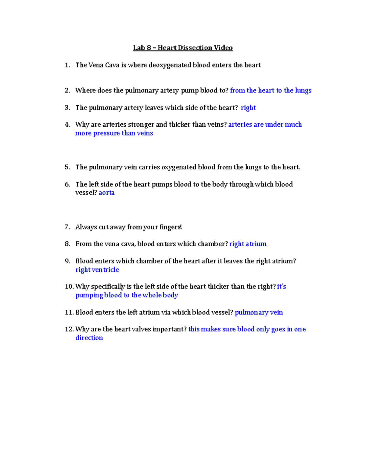 BIO 132 Heart Dissection Lab - Lab 8 – Heart Dissection Video The Vena ...