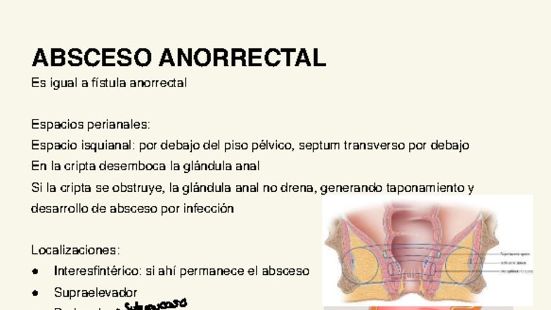 ABSCESO ANORRECTAL Y FÍSTULA ANAL: ESTUDIO Y CLASIFICACIÓN - Studocu