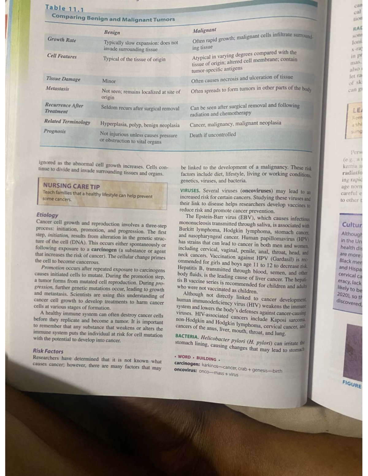 RAD 101: Comparing Benign and Malignant Tumors - Key Insights - Studocu