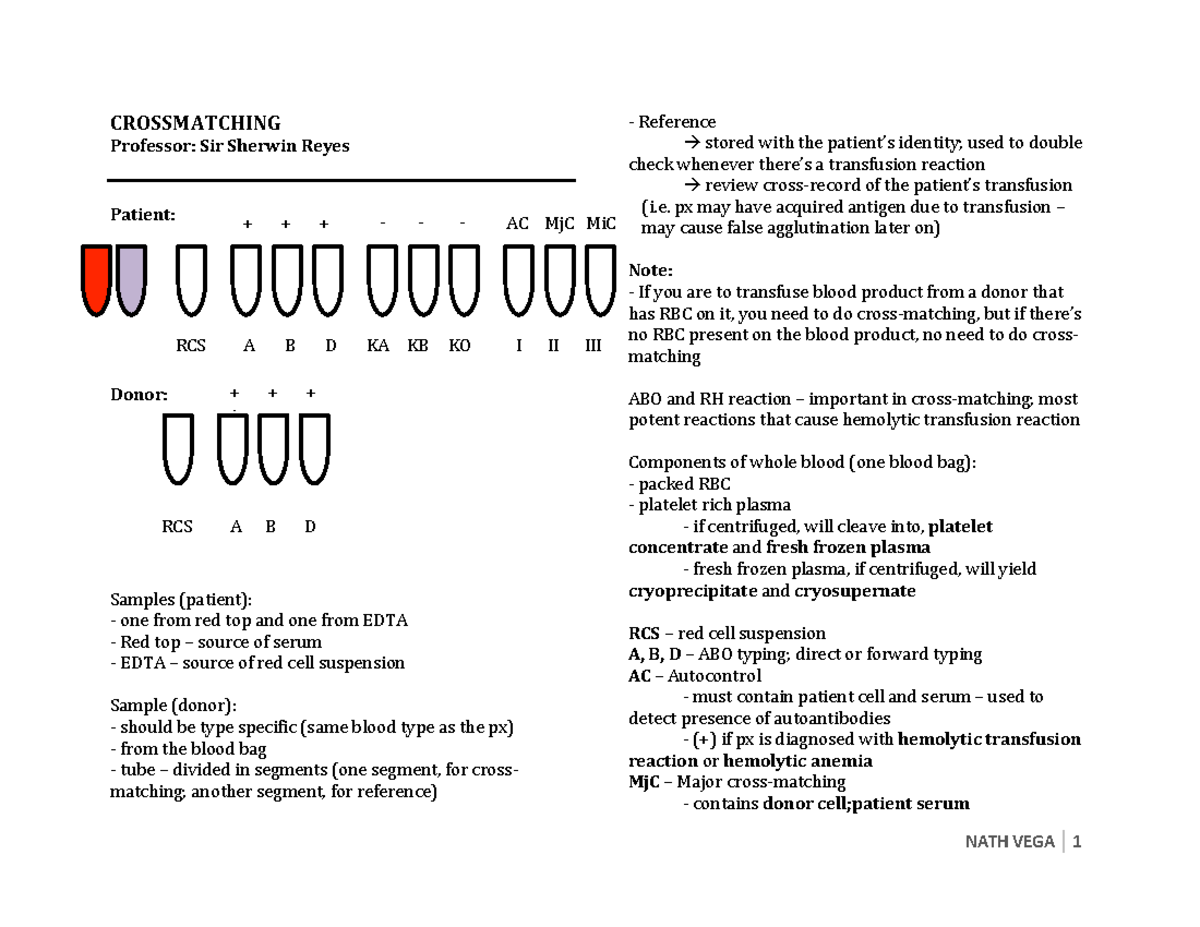 Crossmatching Summary for Blood Transfusion Processes - Studocu