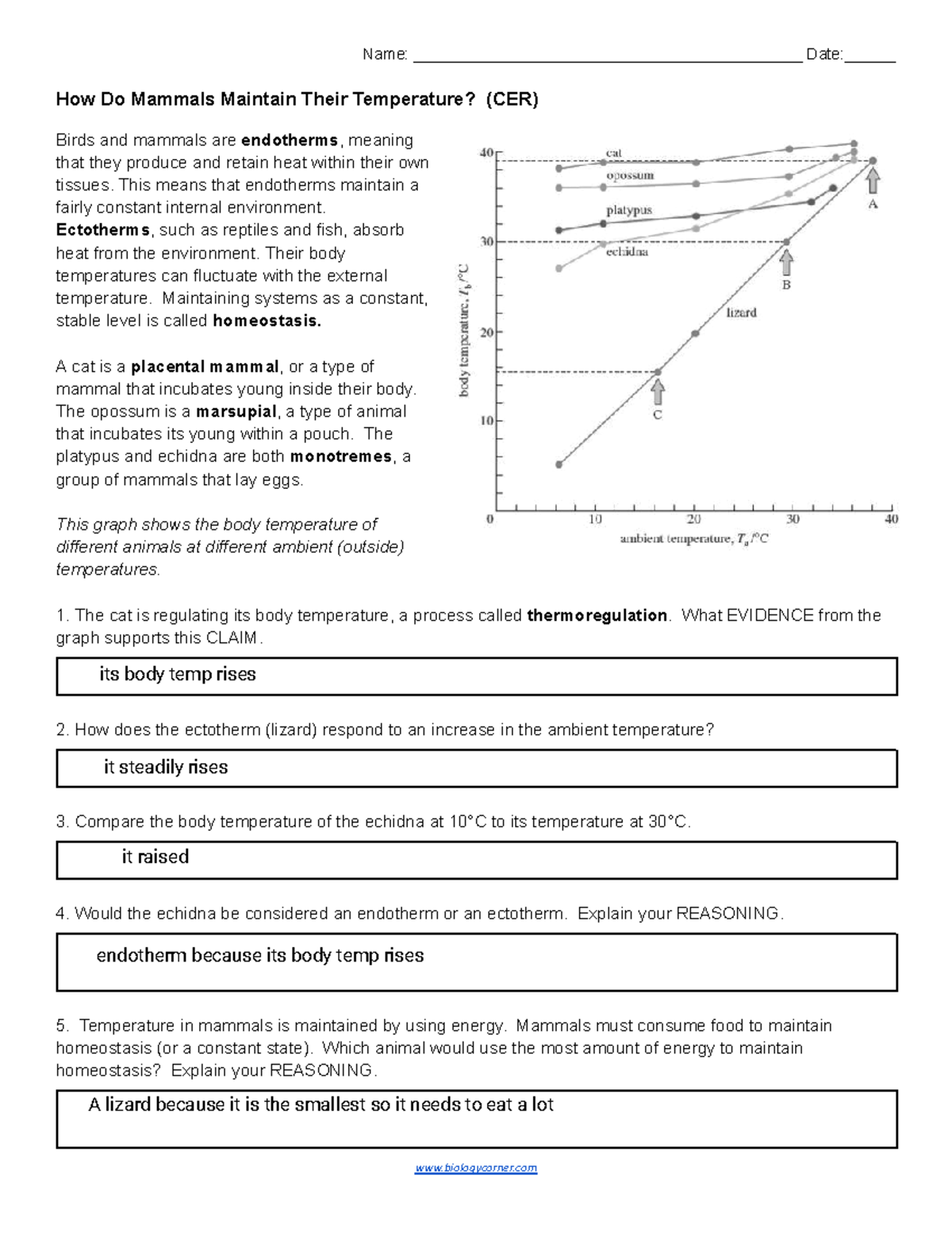 BIOL 101 - Thermoregulation in Mammals Activity Notes - Studocu
