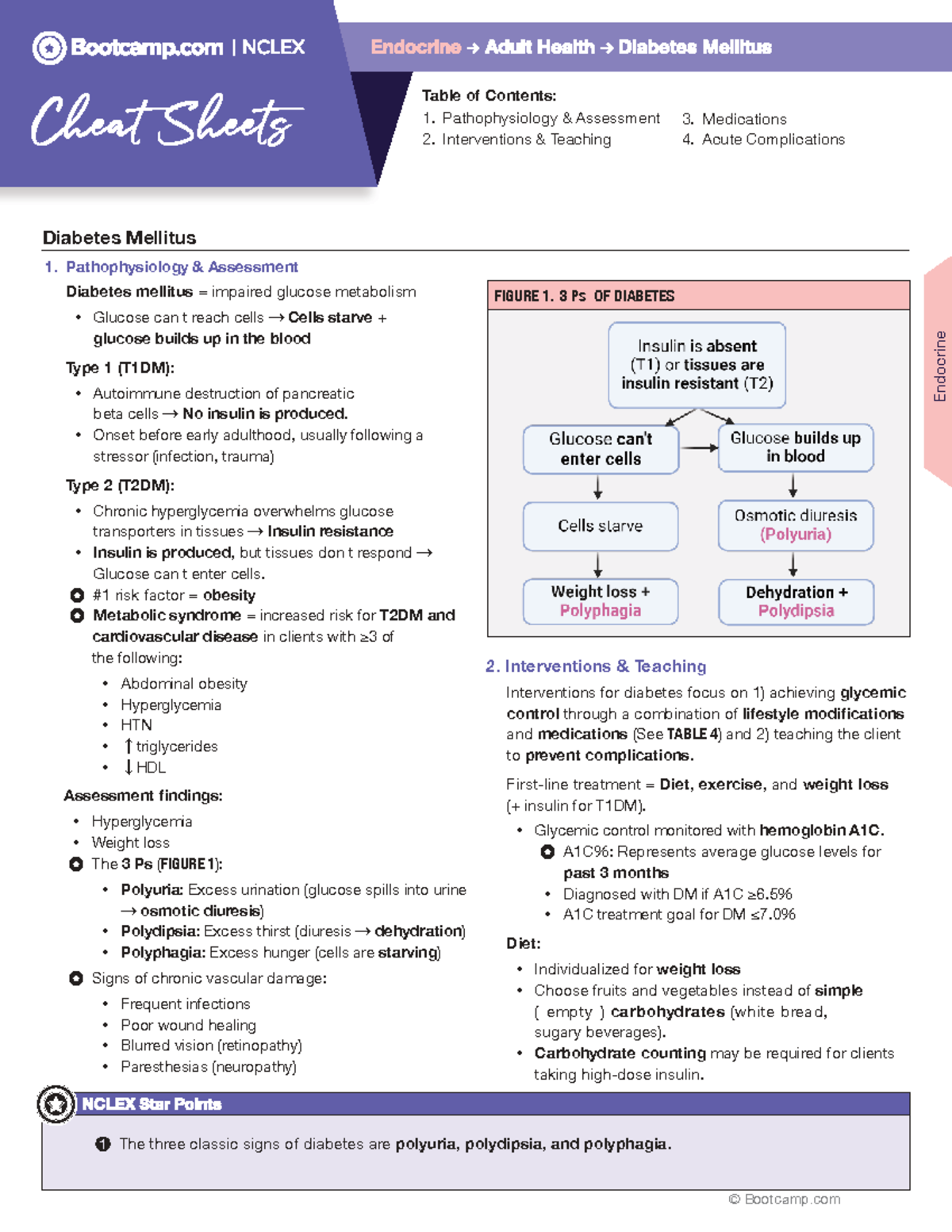Diabetes Mellitus Cheat Sheet: Pathophysiology, Interventions & Meds ...