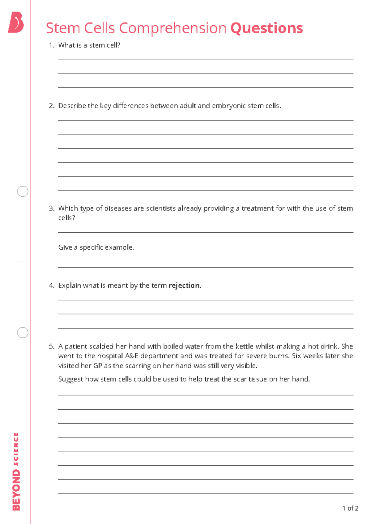 Stem Cells Comprehension Questions & Evaluation (Level 3) - Studocu