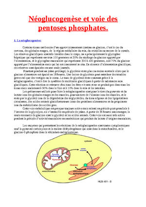 Métabolisme du glucose - CHAPITRE 1 : LA GLYCOLYSE La glycolyse se ...