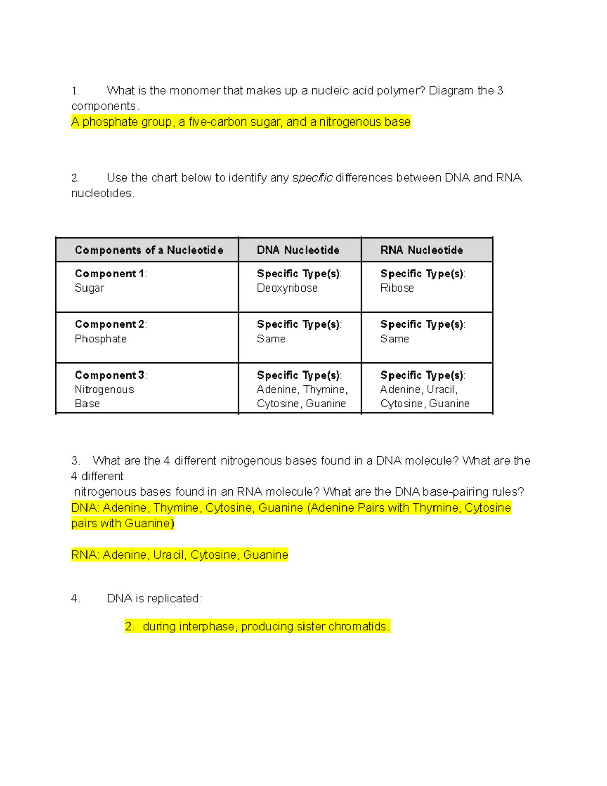 DNA Replication Overview and Enzymatic Roles - BIO 110 - FA25 - Studocu