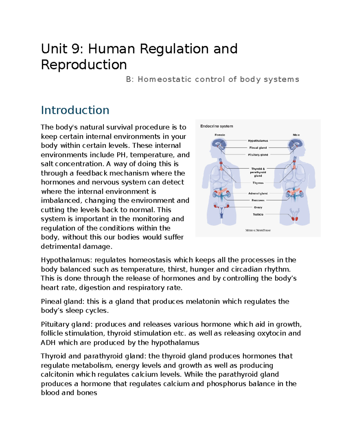 Unit 9B Final Exam Notes: Homeostasis and Endocrine System Overview ...