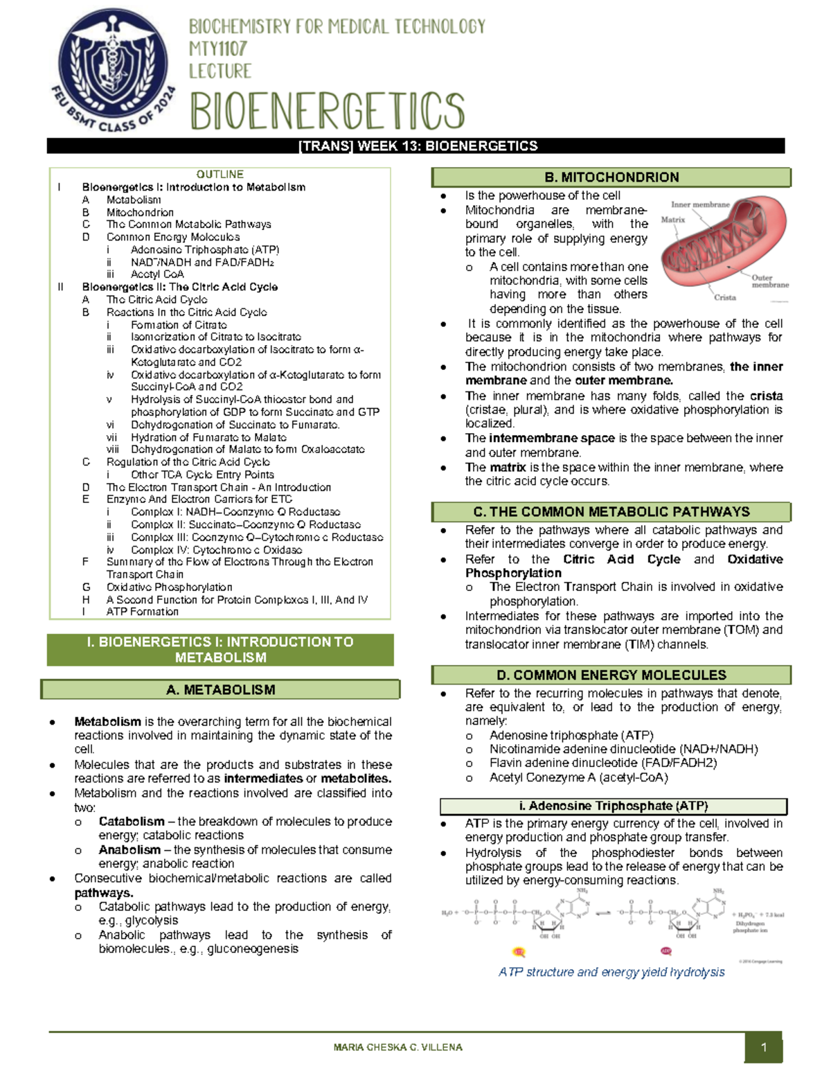 Bioenergetics Lecture Notes (BIO101): Overview of Metabolism & Pathways ...