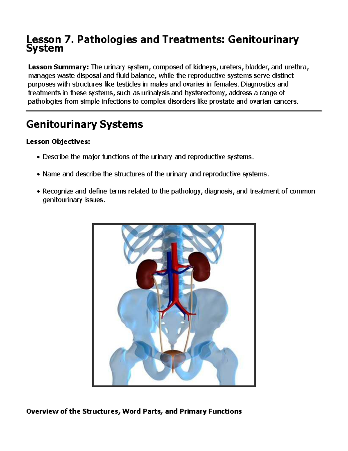 Lesson 7: Pathologies & Treatments of the Genitourinary System - Studocu