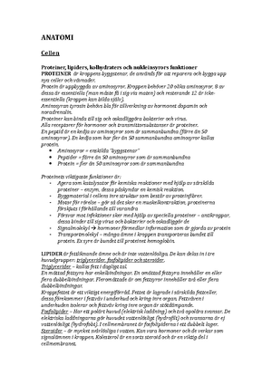 [Solved] begreppen afferenta neuron interneuron samt efferenta neuron ...