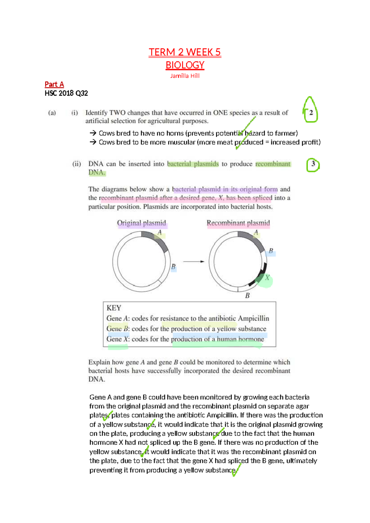 TERM 2 WEEK 5 BIOLOGY HSC 2018 Q32: Cattle Genetic Modification ...