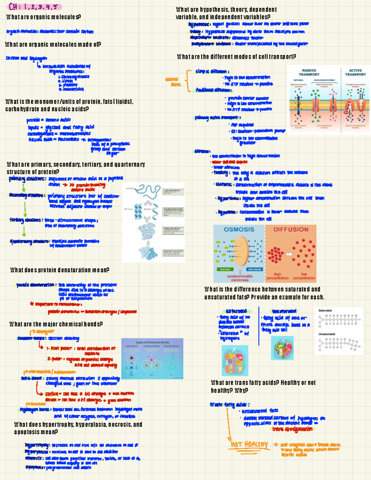 CYU Lecture: Understanding Hypotheses, Organic Molecules, and Cell ...
