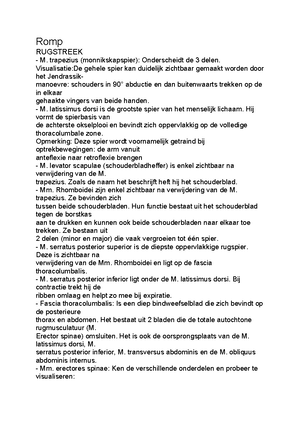 M. Trapezius: Functies, Oorsprong en Aanhechting in de Bovenrug - Studocu