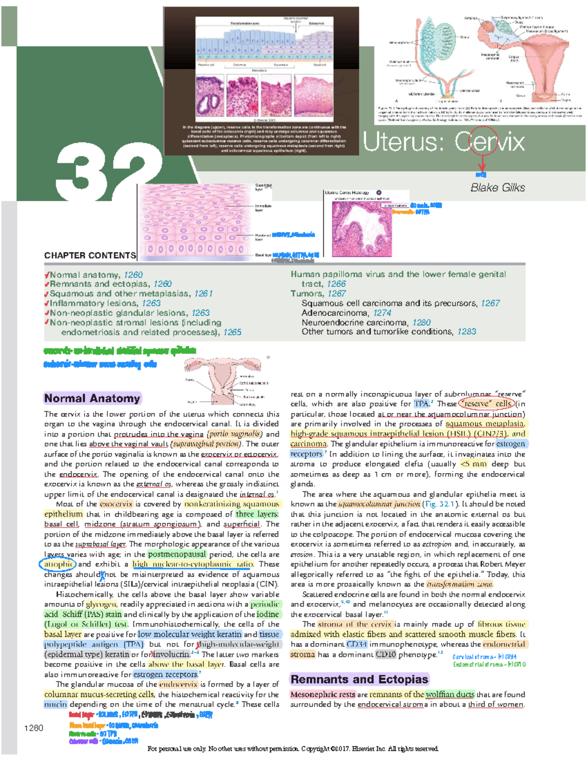 Cervix chapter aca - Summary Rosa fresca aulentissima - 1260 Uterus ...